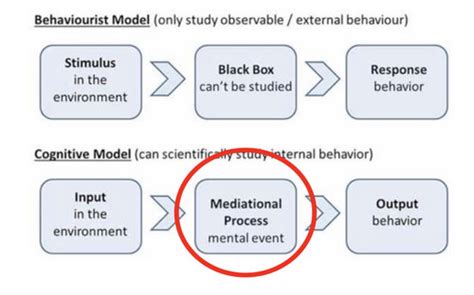 1 Intro To Cognition Flashcards Quizlet