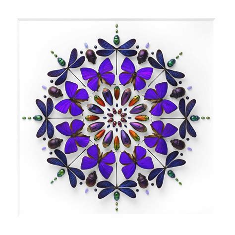 Descubre 23 Ideas De Alfabeto Braille Y Frases Pensamientos