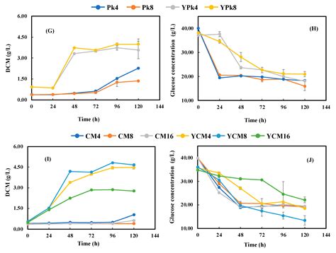 Utilization Of Meat And Bone Meal For Yeast Fermentation To Produce