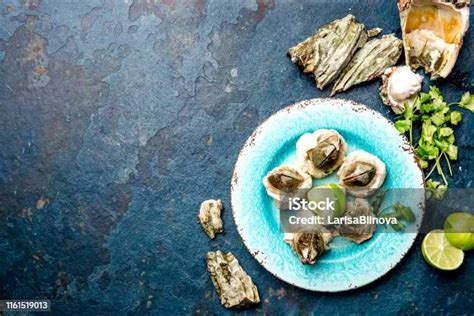 Foto De Frutos Do Mar Picoroco Preparado Picoroco Austromegabalanus