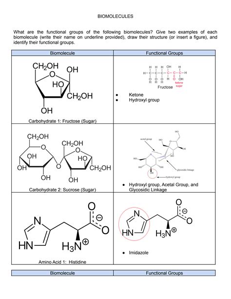 Functional Groups In Biomolecules At Elijah Brand Blog