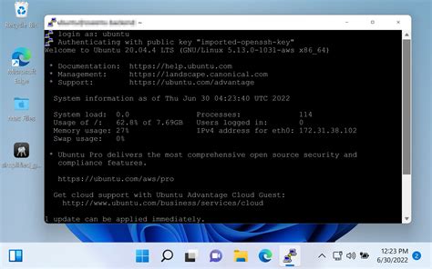 how to connect to linux aws ec2 instance from windows