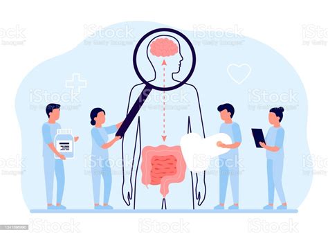 건강 인간의 두뇌와 창 자 연결 의사 검진 관계 장기 장 두 번째 뇌 통일 조절 정신 및 소화 시스템 사람의 상호 작용 감정