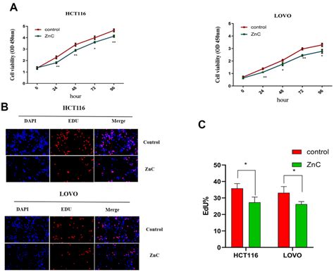 Znc Inhibited The Proliferation In Crc Cell Lines A The Growth