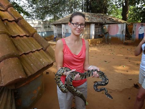Temple Des Pythons Tete à Cotonou