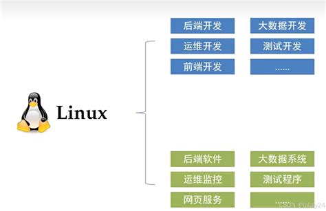 小白零基础学习linux1linux介绍和虚拟机安装linux操作系统是什么 Csdn博客