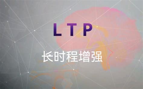长时程增强ltp的生理机制 哔哩哔哩