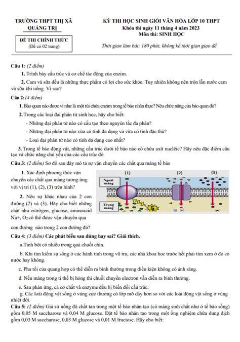 H C Sinh Gi I Sinh H C N M Tr Ng Thpt B Nh Chi U Tp Hcm Thi Com