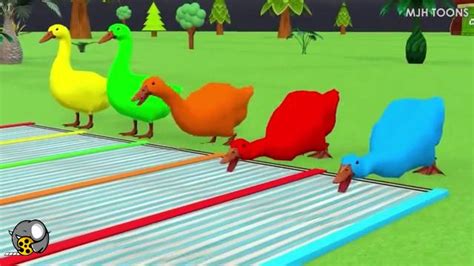 چالش و مسابقه ی حیواناتاردک های رنگیبرنامه کودک فیلو