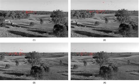 The Proposed Bird Detection Algorithm Implemented Detected Birds Are Download Scientific