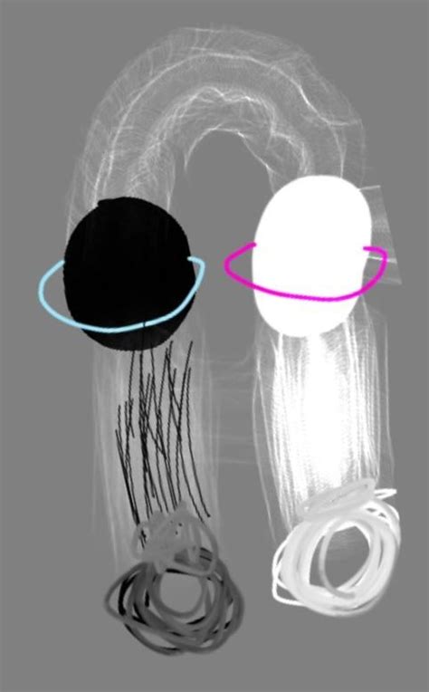 Negative Infinity The Full Set R Fortniteconcept