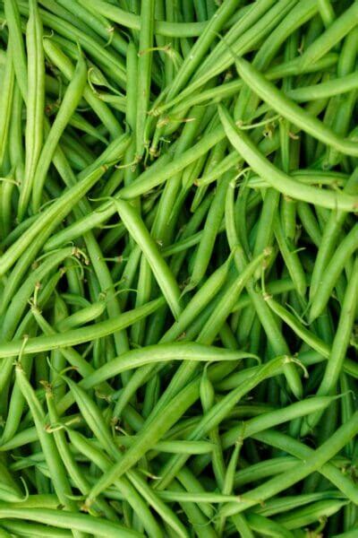 How Many Different Types Of Beans In The World Can You Recognize