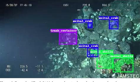 Figure 1 From Real Time Instance Segmentation For Detection Of