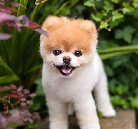 14화 친절한 사람이 살아남는다