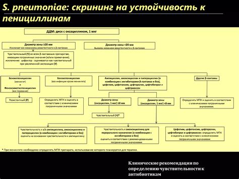 Staphylococcus Spp Enterococcus Spp Streptococcus Pneumoniae
