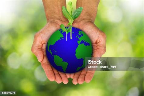녹색 새싹을 가진 지구 지구를 들고 있는 남자의 손은 흐린 Bokeh 배경 환경 개념에 성장 합니다 개념에 대한 스톡 사진 및 기타 이미지 Istock
