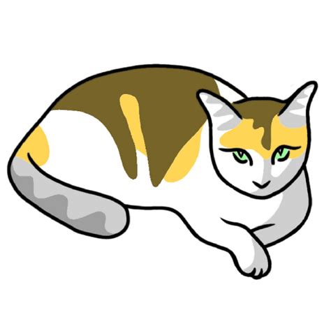 Gato Plugins Gato Graphql Youtube