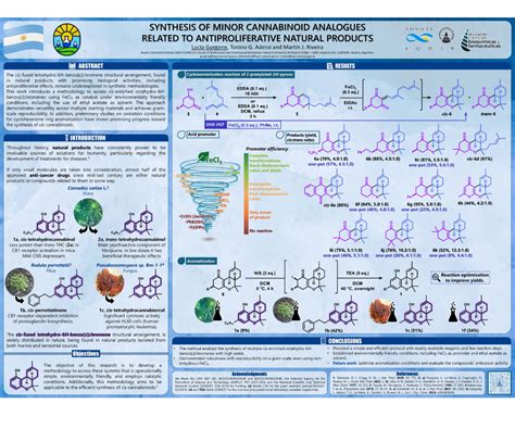 Synthesis Of Minor Cannabinoid Analogues Related To Antiproliferative Natural Products