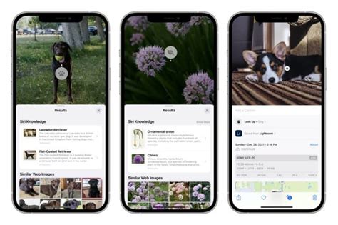 Virtual Look Up Πώς μπορείτε να χρησιμοποιήσετε τη λειτουργία σε Iphone και Ipad Techblog Gr