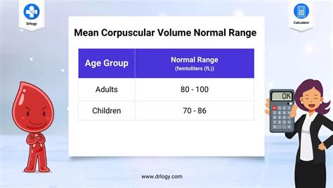 Best Mean Corpuscular Volume Calculator Drlogy