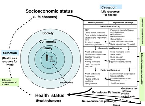 Figure 1 From Health Inequalities Semantic Scholar