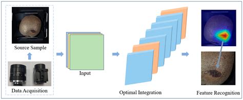 Efficient Non Destructive Detection For External Defects Of Kiwifruit