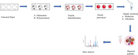 Illustration Of Dbs Protein Analysis On Dbs Download Scientific Diagram