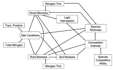 Initial Structural Equation Model From Lamb And Cahill 2008 P 781