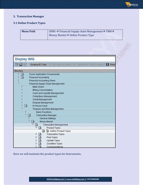 Sap Trm Treasury And Risk Management Configuration 1pdf Stocks