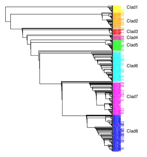 Cladistics Chart