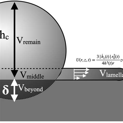 Semi Parabolic Velocity Profile In The Lamella Download Scientific