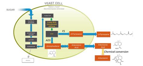 One Organic Chemist One Day Chris Paddon