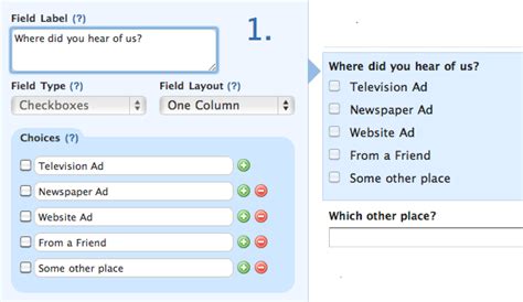 how to allow for other input on radio and checkbox fields wufoo