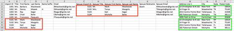Import Spouses With Constituents Salsa Knowledgebase