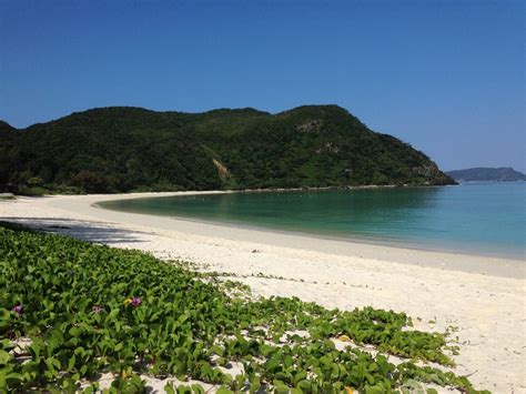 2024 渡嘉敷島自由行應該怎好玩渡嘉敷島行程攻略包括交通住宿和景點 Expedia tw