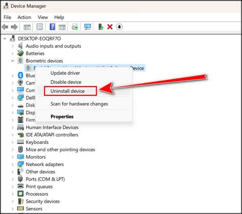 Fix Fingerprint Reader Not Working On Windows 11 [verified]