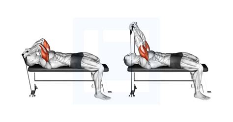 Band Skull Crusher Guide Benefits And Form