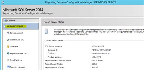 Xsqlserverserviceaccount The Reportingservices Service Could Not Be
