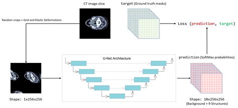 Head And Neck CT Image Segmentation Using Deep Learning Mrinal Jain