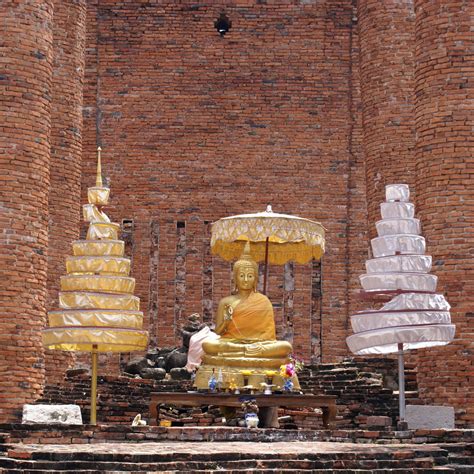 Ayuthaya高清图片 泰国中部大城府塔米卡拉特寺的金佛 餐饮美食免费下载 jpg格式 2592像素 编号42224851 千图网