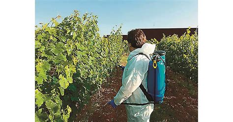 Пръскайте лозите срещу мана и оидиум Български Фермер