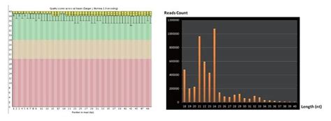 Ngs 次世代定序服務 Small Rna Sequencing 威健股份有限公司
