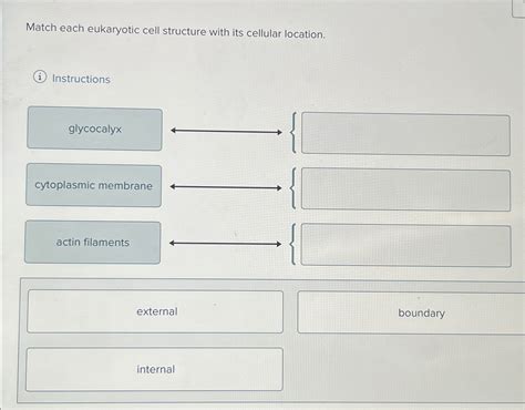 Solved Match Each Eukaryotic Cell Structure With Its Chegg Com