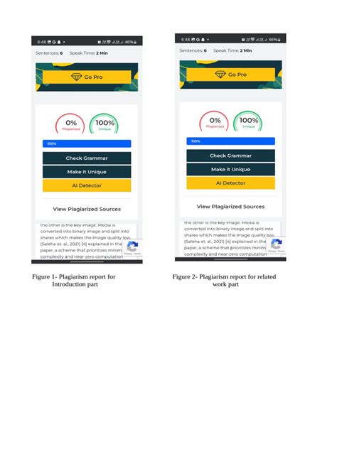 Plagiarism Report Pdf