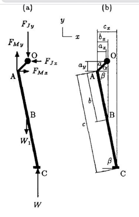 Solved Problem 55 Consider A Person That Momentarily Put