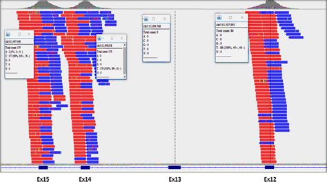 Visualization Of The Aligned Sequencing Reads Representing Deletion Of