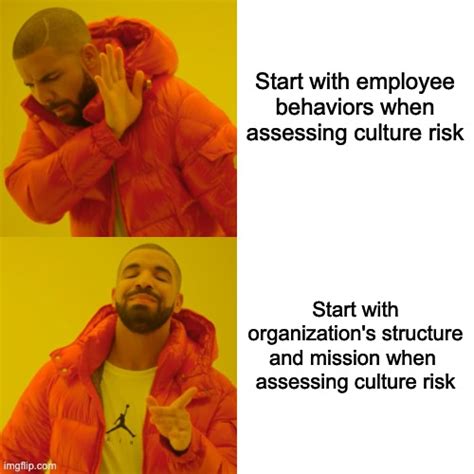 Meme Org Risk Radical Compliance
