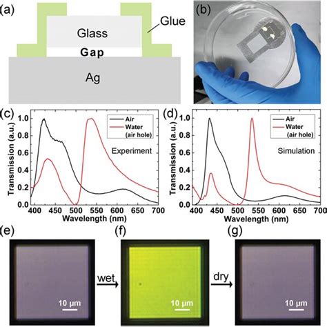 A Schematic Diagram Of The Plasmonic Nanostructure Integrated With A