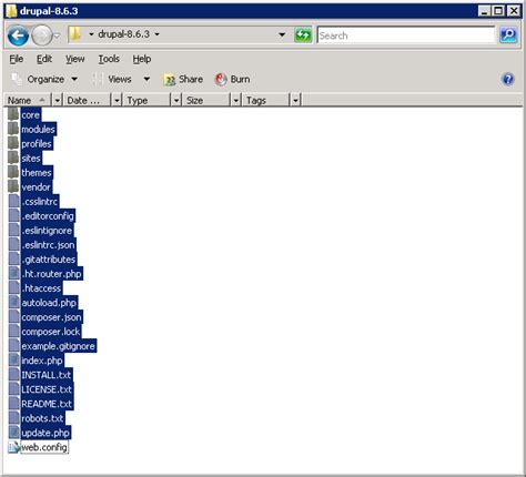 Drupal 8 9 — обновление Drupal Core на Iis Internet