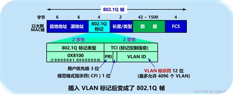 虚拟局域网vlan和以太网交换机端口分类（access，trunk，hybird） csdn博客